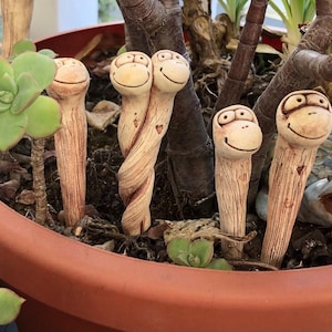 Planter Creeps Tiny Assortment, (3 Tiny Single Creeps and One Tiny ...
