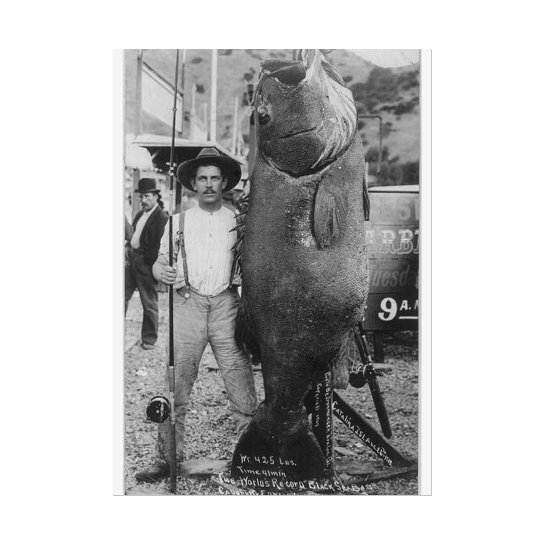 Vintage Fishing Poster, Rolled Poster Print for Wall Decor, Black Sea ...