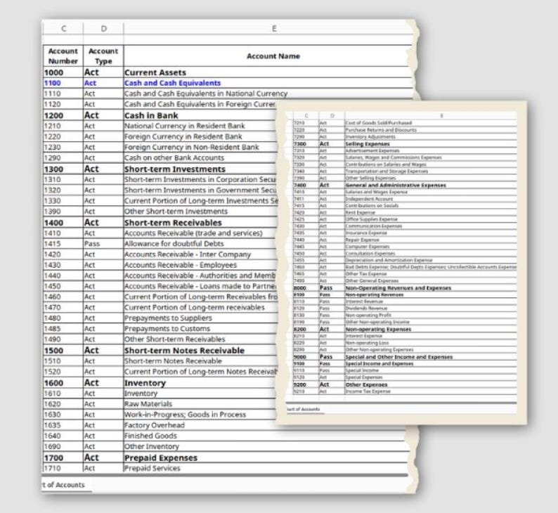 Chartpro | Printable Chart of Accounts Template - Etsy Australia