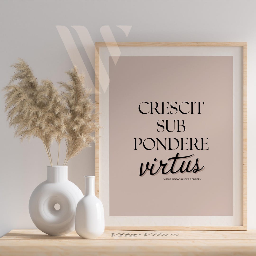 Latin Motivation Poster | Best Inspirational Quotes | Printable Wall ...