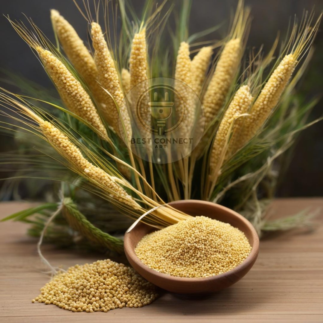 Millet Kitchen Art Print - Rustic Farmhouse Wall Decor, Healthy Grain ...