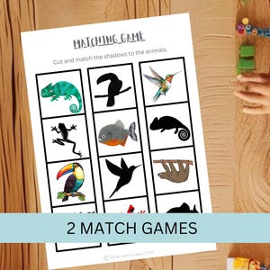 Rainforest Animals Activity Pack Toddlers/ Printable Colouring Pages ...