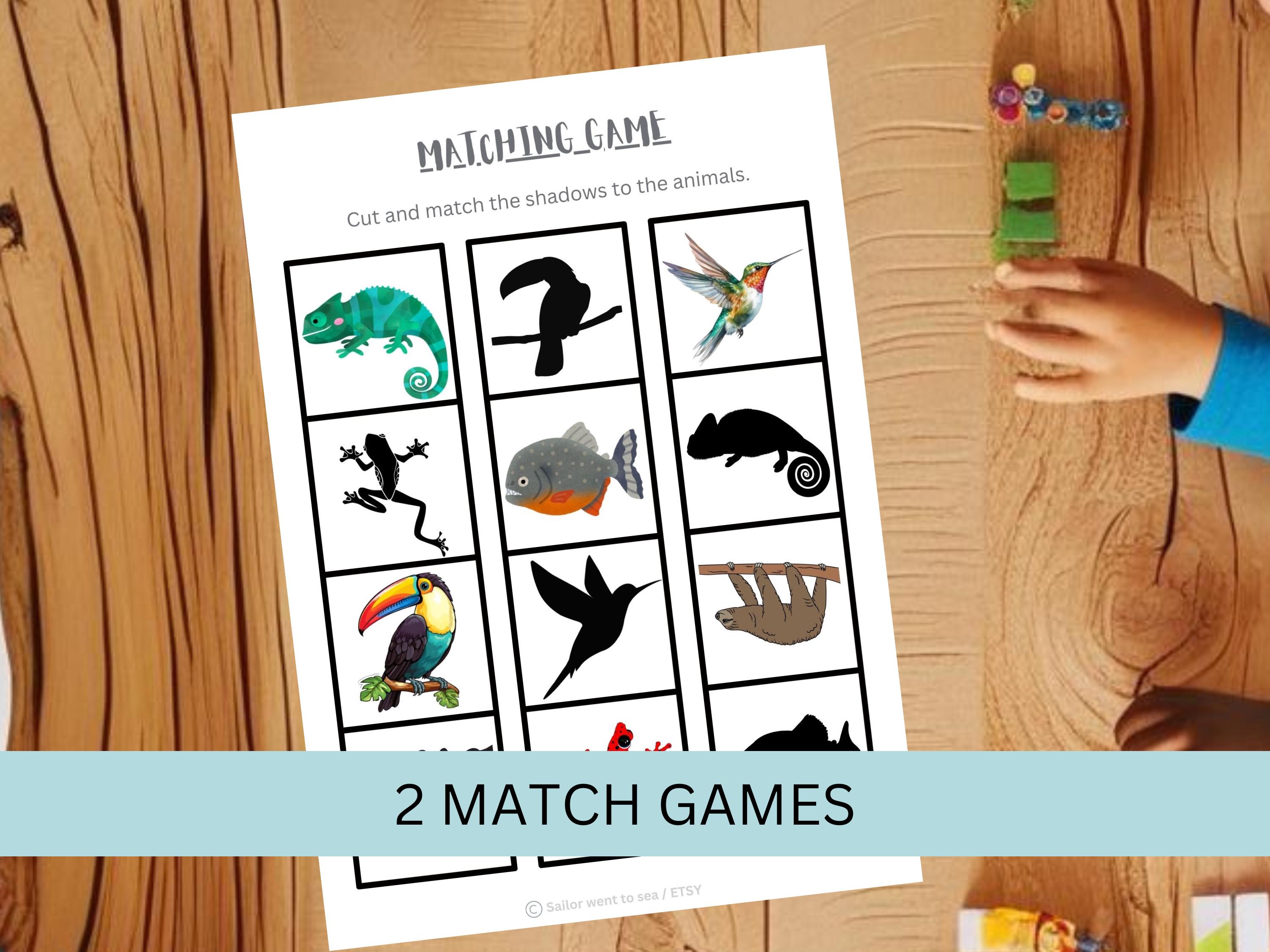 Rainforest Animals Activity Pack Toddlers/ Printable Colouring Pages ...