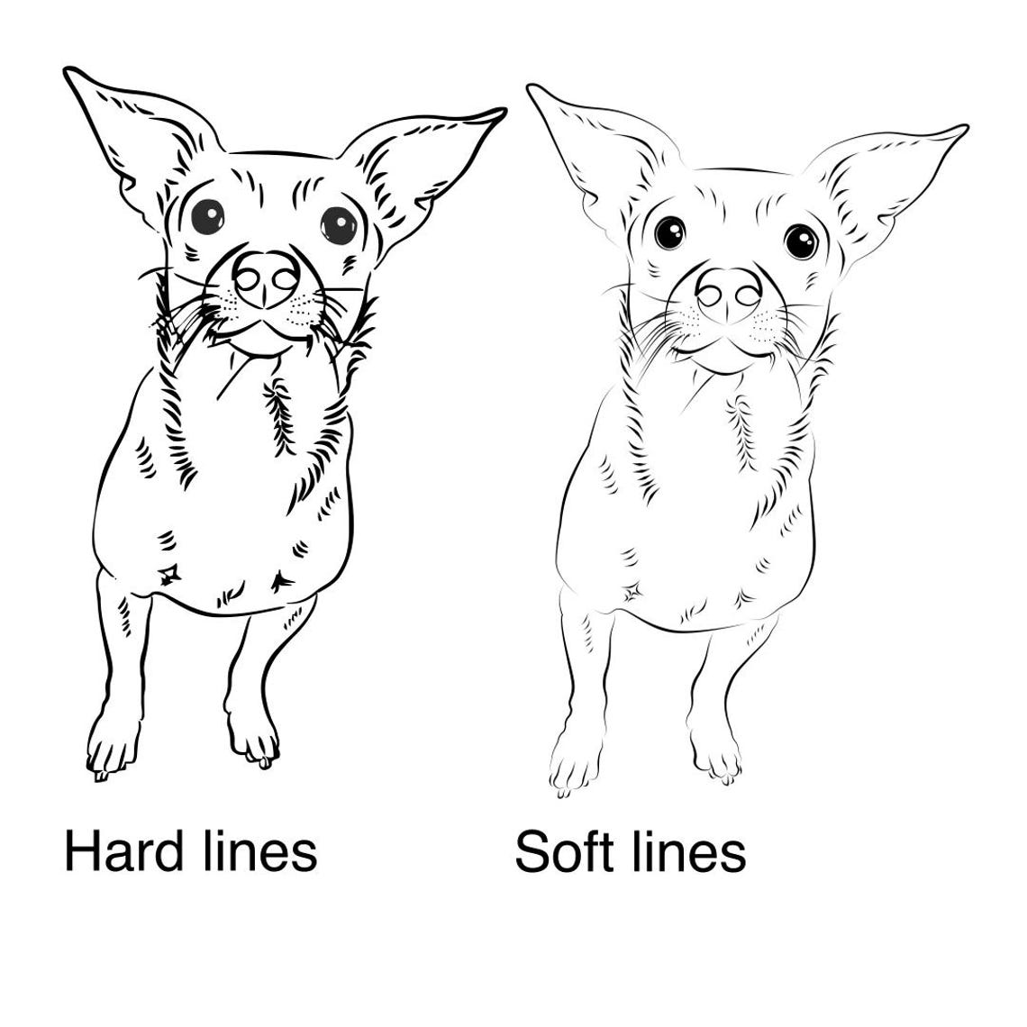 Custom Vector Pet Line Drawing: Dogs, Cats, Birds, Horses, Exotics, and ...