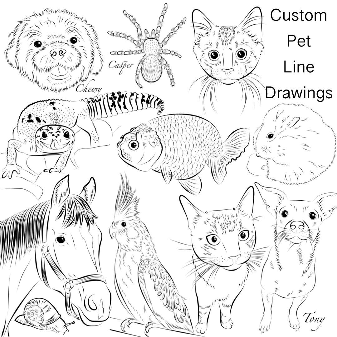 Custom Vector Pet Line Drawing: Dogs, Cats, Birds, Horses, Exotics, and ...