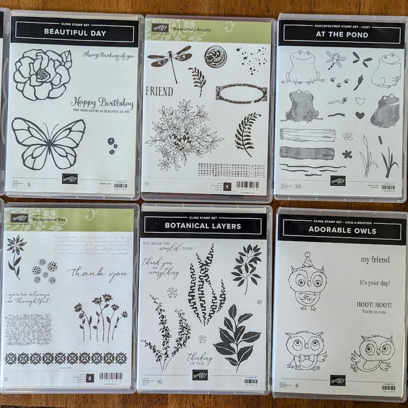 Stampin up Owl Stamp Set - Etsy