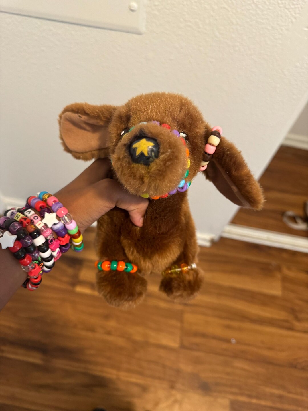 Customized Douglas Dog - Etsy