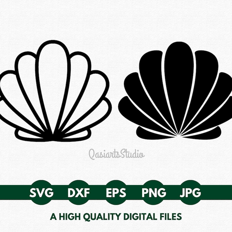Seashells Svg - Etsy