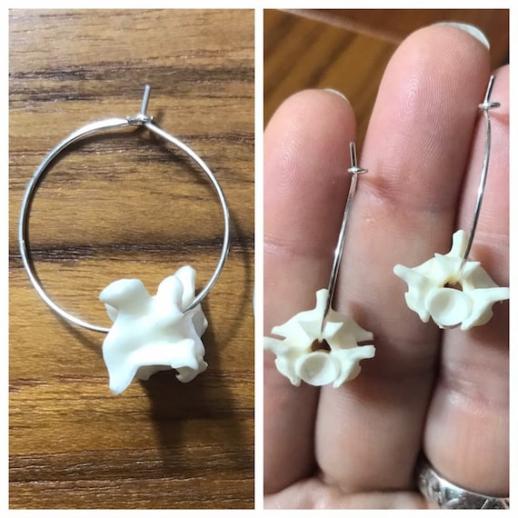 Burmese Python Vertebra Hoop Earrings / Real Bone Jewelry / - Etsy