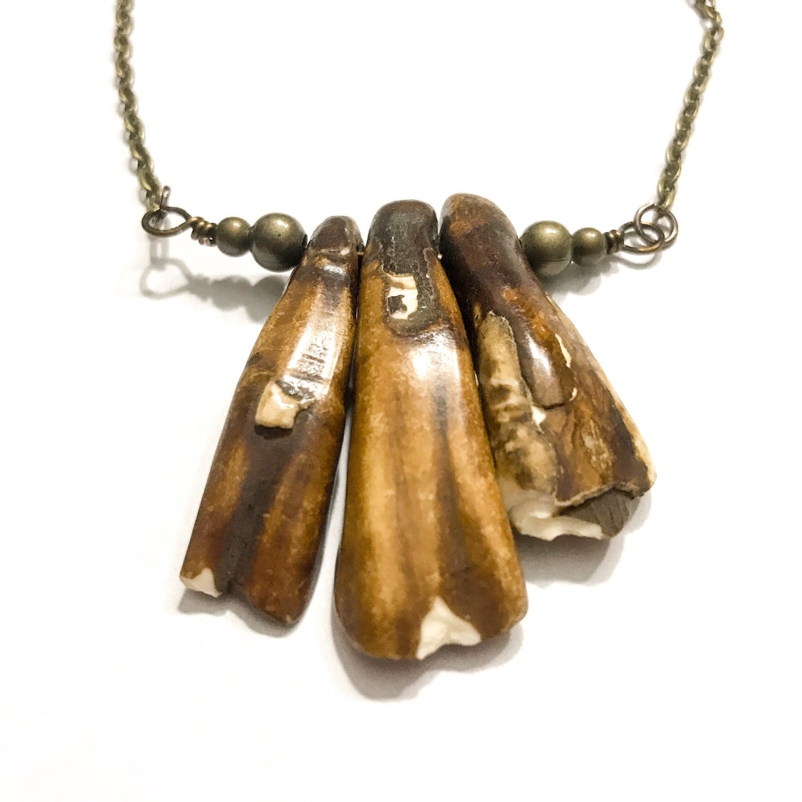 Antique Buffalo Tooth Necklace / Real Bone Jewelry / Oddity / | Etsy