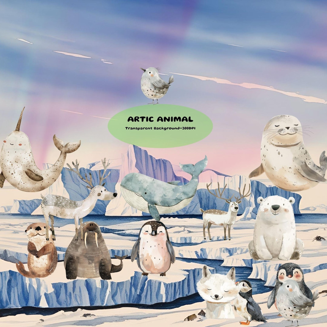 14 Arctic Animals, PNG Watercolor Clipart, Polar Bear, Owl, Seal ...