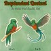 Resplendent Quetzal Stickers: Tropical Bird Art Decal, Waterproof Matte ...