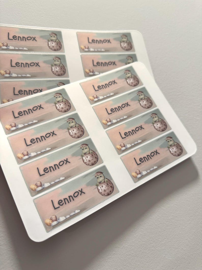 Dinosaur Egg Name Labels: Personalized Waterproof Stickers for Kids - Etsy