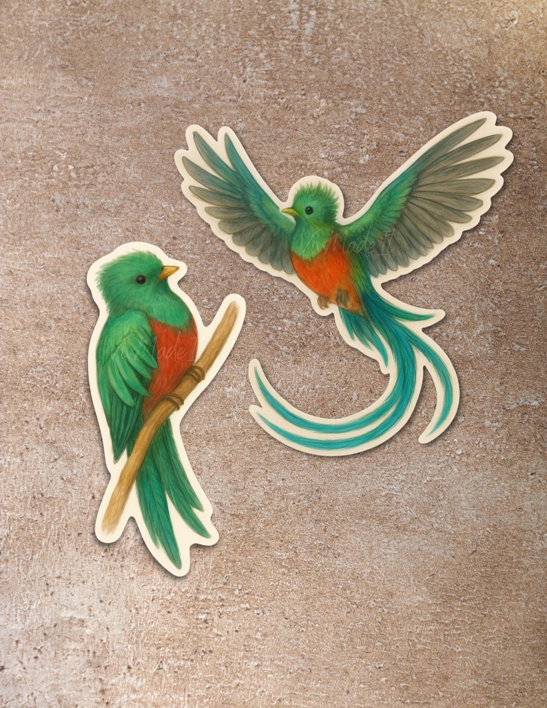 Resplendent Quetzal Stickers: Tropical Bird Art Decal, Waterproof Matte ...