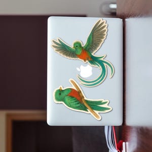 Resplendent Quetzal Stickers: Tropical Bird Art Decal, Waterproof Matte ...