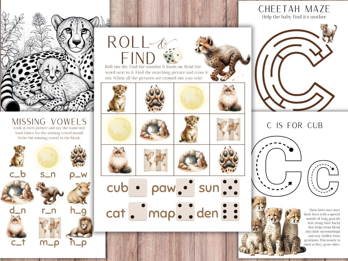 Lions & Cheetahs Unit Study: Homeschool Wildlife Biology (PDF Download ...