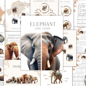 Elephant Unit Study, Kindergarten-3rd Grade, Science, Homeschool ...