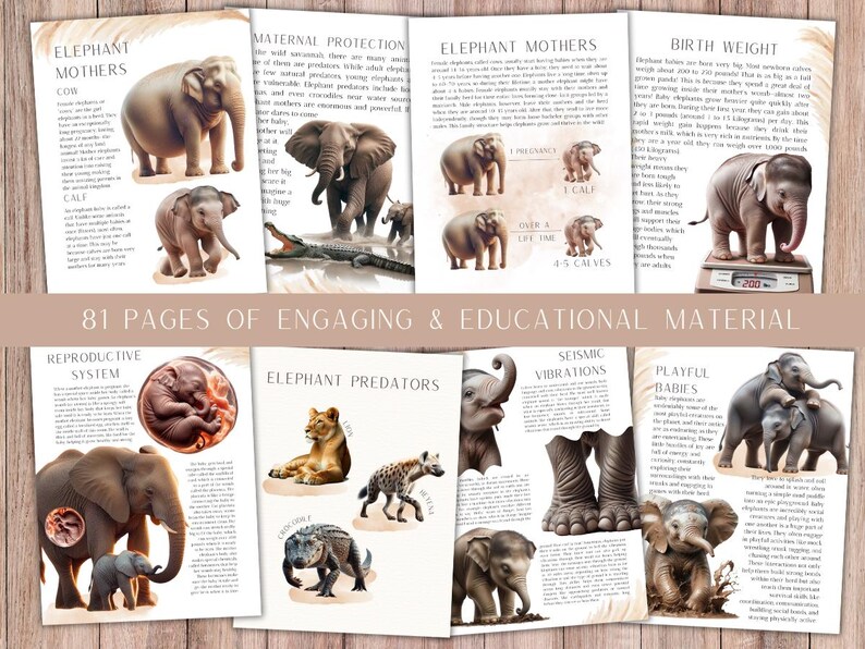 Elephant Unit Study, Kindergarten-3rd Grade, Science, Homeschool ...