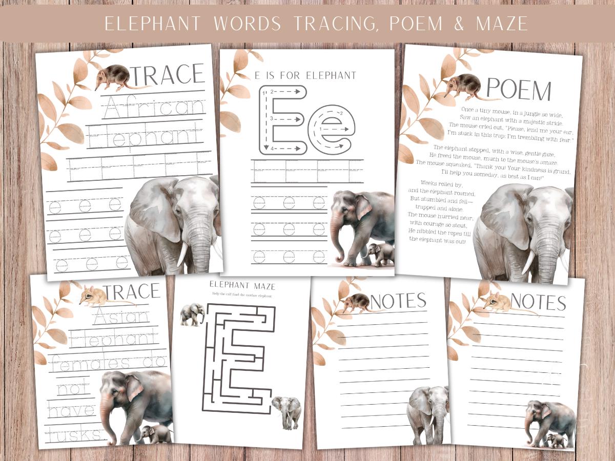 Elephant Unit Study, Kindergarten-3rd Grade, Science, Homeschool ...