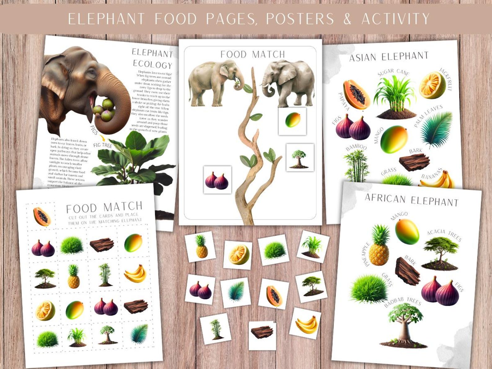 Elephant Unit Study, Kindergarten-3rd Grade, Science, Homeschool ...
