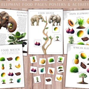 Elephant Unit Study, Kindergarten-3rd Grade, Science, Homeschool ...