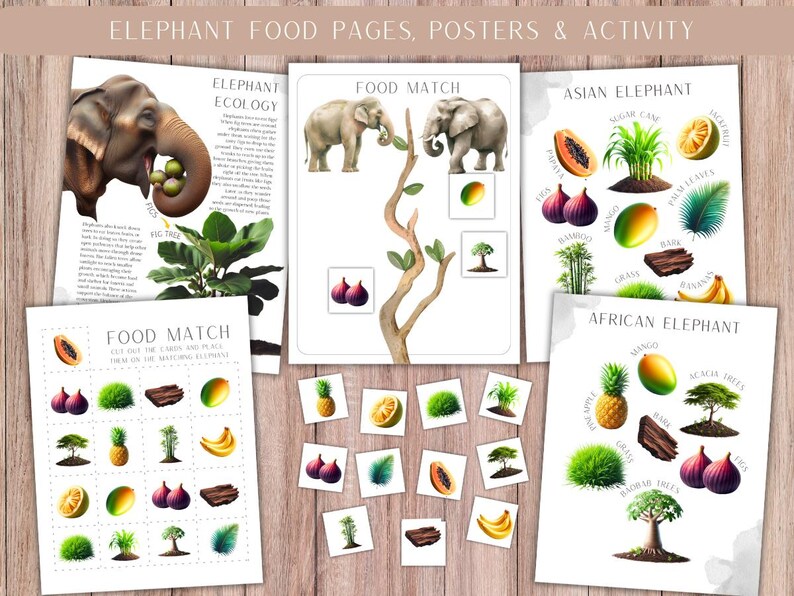 Elephant Unit Study, Kindergarten-3rd Grade, Science, Homeschool ...