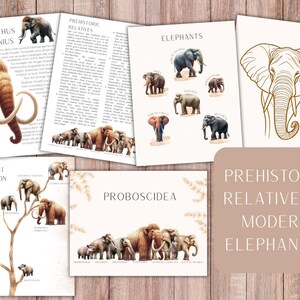 Elephant Unit Study, Kindergarten-3rd Grade, Science, Homeschool ...