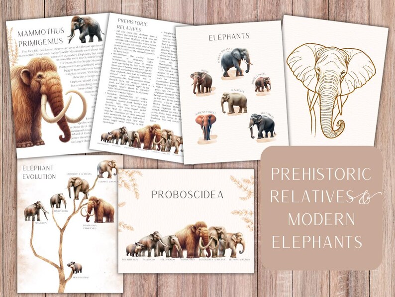 Elephant Unit Study, Kindergarten-3rd Grade, Science, Homeschool ...