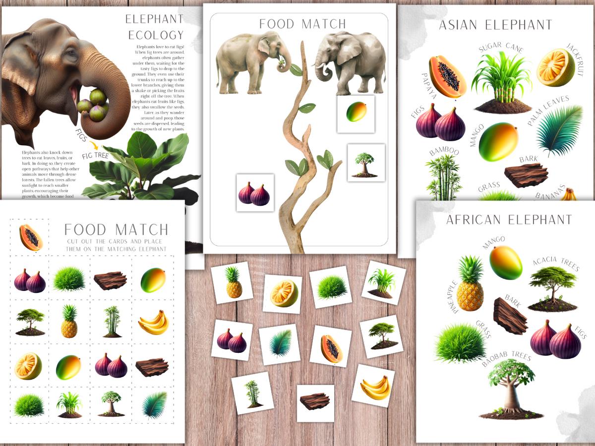 Elephant Unit Study, Kindergarten-3rd Grade, Science, Homeschool ...