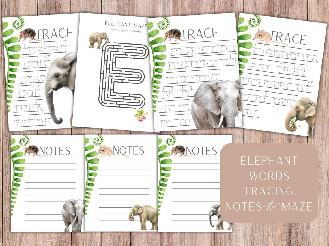 Elephant Unit Study, Kindergarten-3rd Grade, Science, Homeschool ...