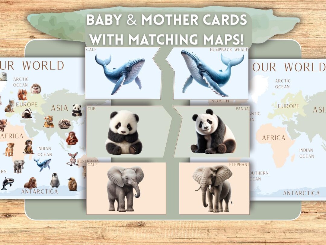 Baby & Mother Cards With Matching Maps, Geography, Animal Habitats, Science, Preschool ...