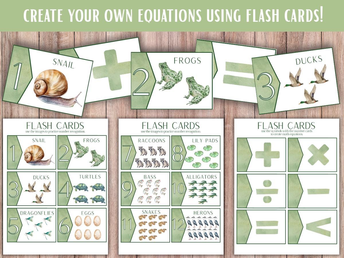 Alligator Unit Study: Hands-on Science, Math & Reading (printable, K ...