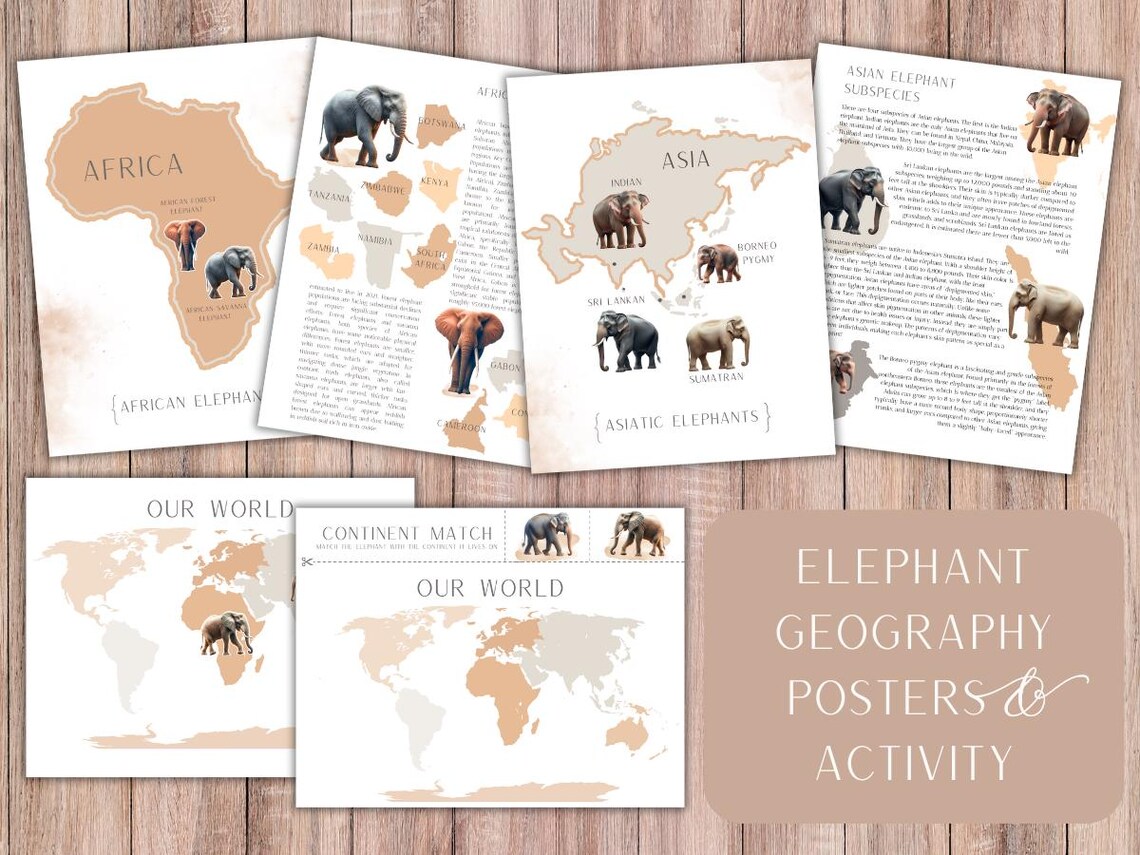 Elephant Unit Study, Kindergarten-3rd Grade, Science, Homeschool ...