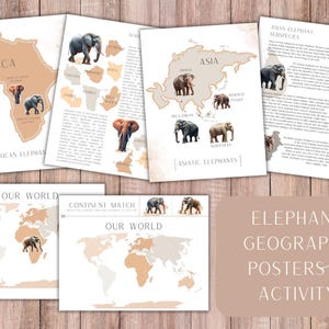Elephant Unit Study, Kindergarten-3rd Grade, Science, Homeschool ...