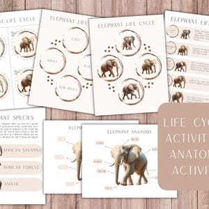Elephant Unit Study, Kindergarten-3rd Grade, Science, Homeschool ...