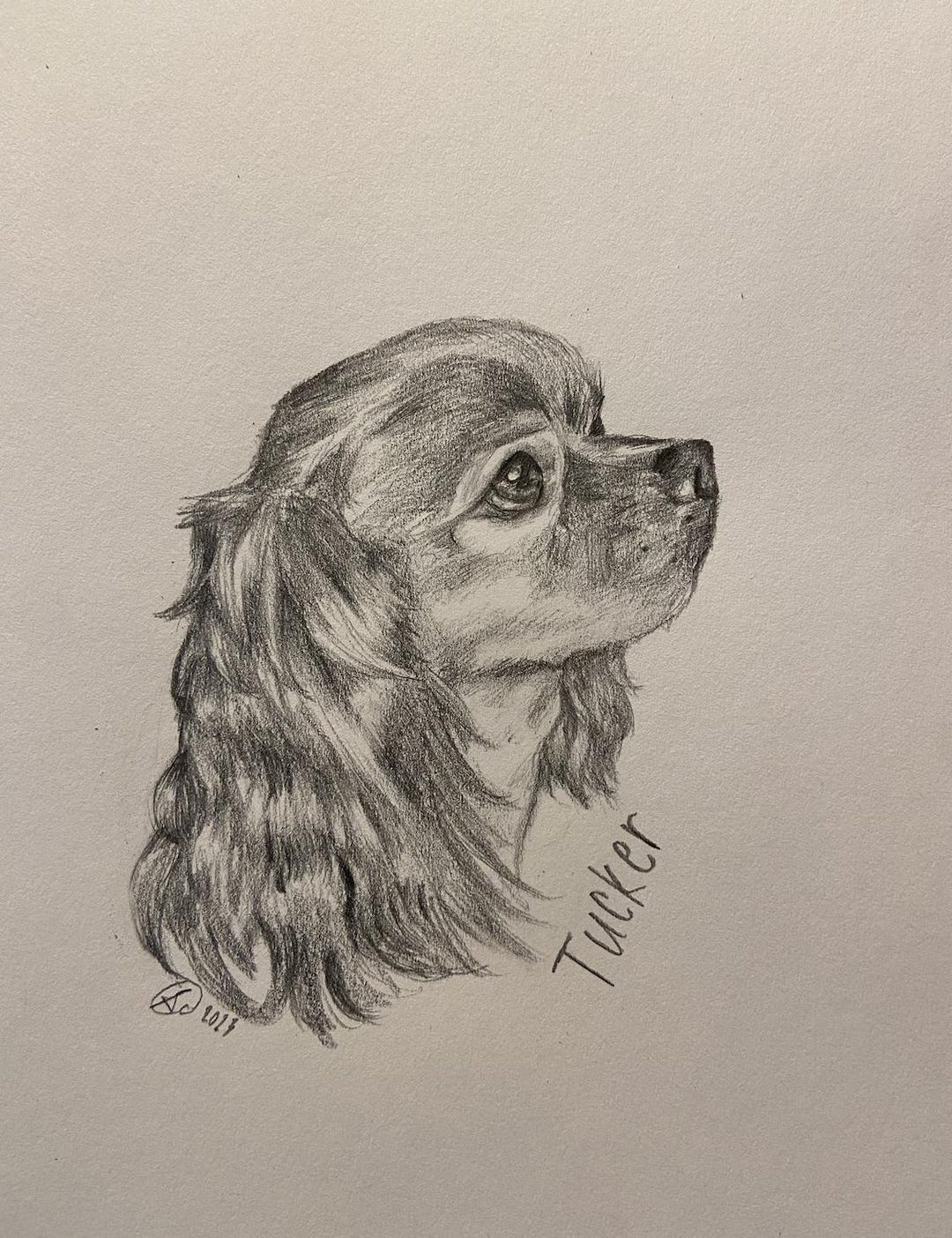 Custom Pet Portrait | Pet Pencil Drawing | Dog and Cat Drawing | Animal ...