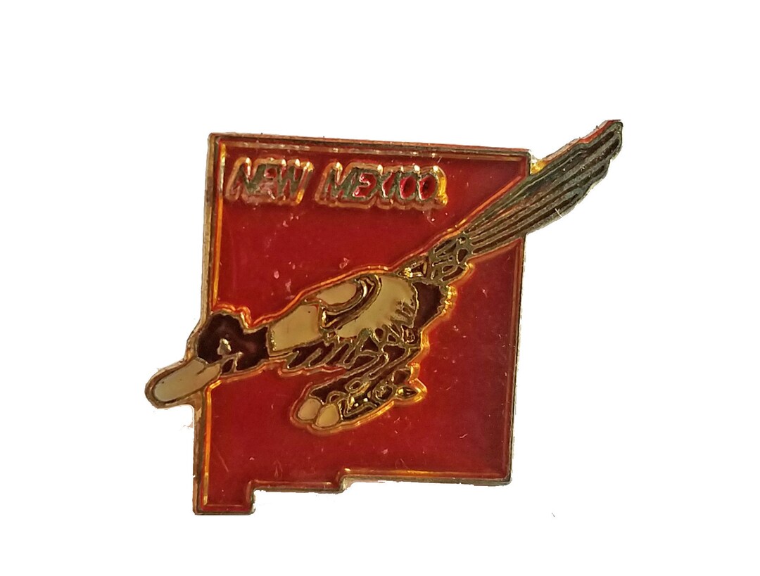 NEW MEXICO STATE Vintage Enamel Pin Lapel Badge Roadrunner Pinback - Etsy