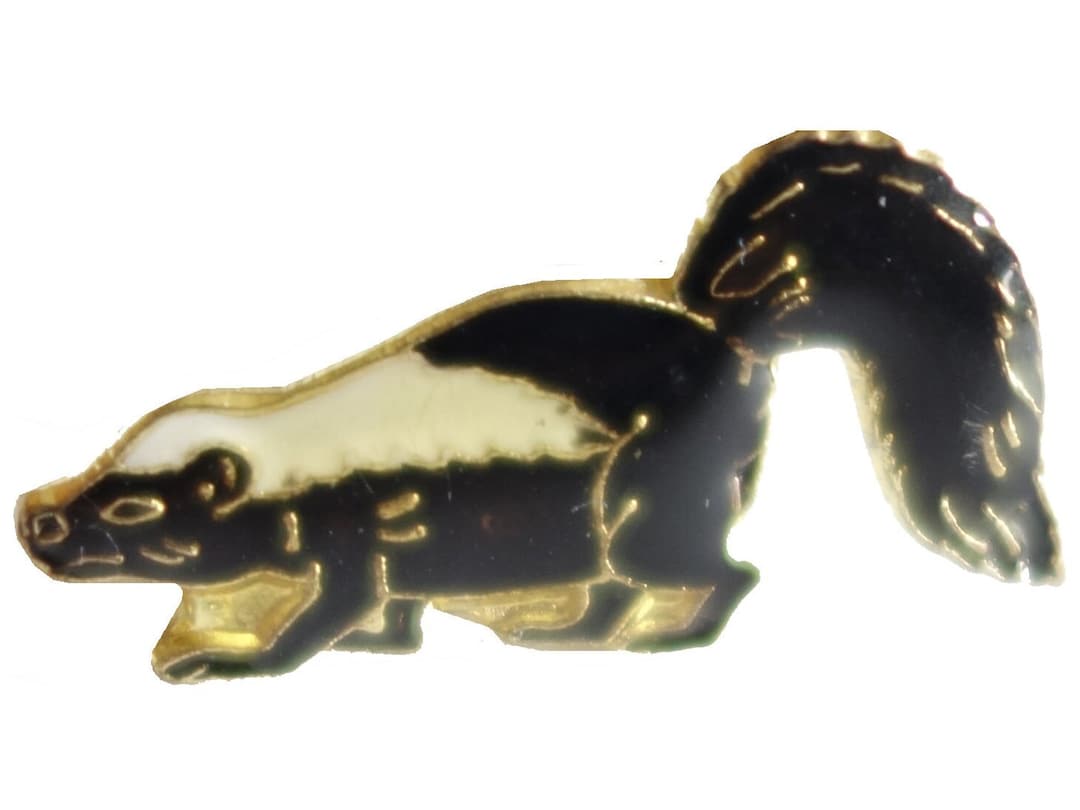 SKUNK Vintage Enamel Pin Lapel Badge Tie Hat Pin Stinky Pinback - Etsy