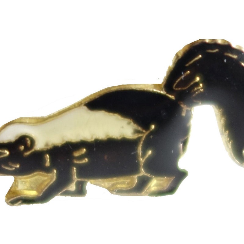 Skunk Pin - Etsy