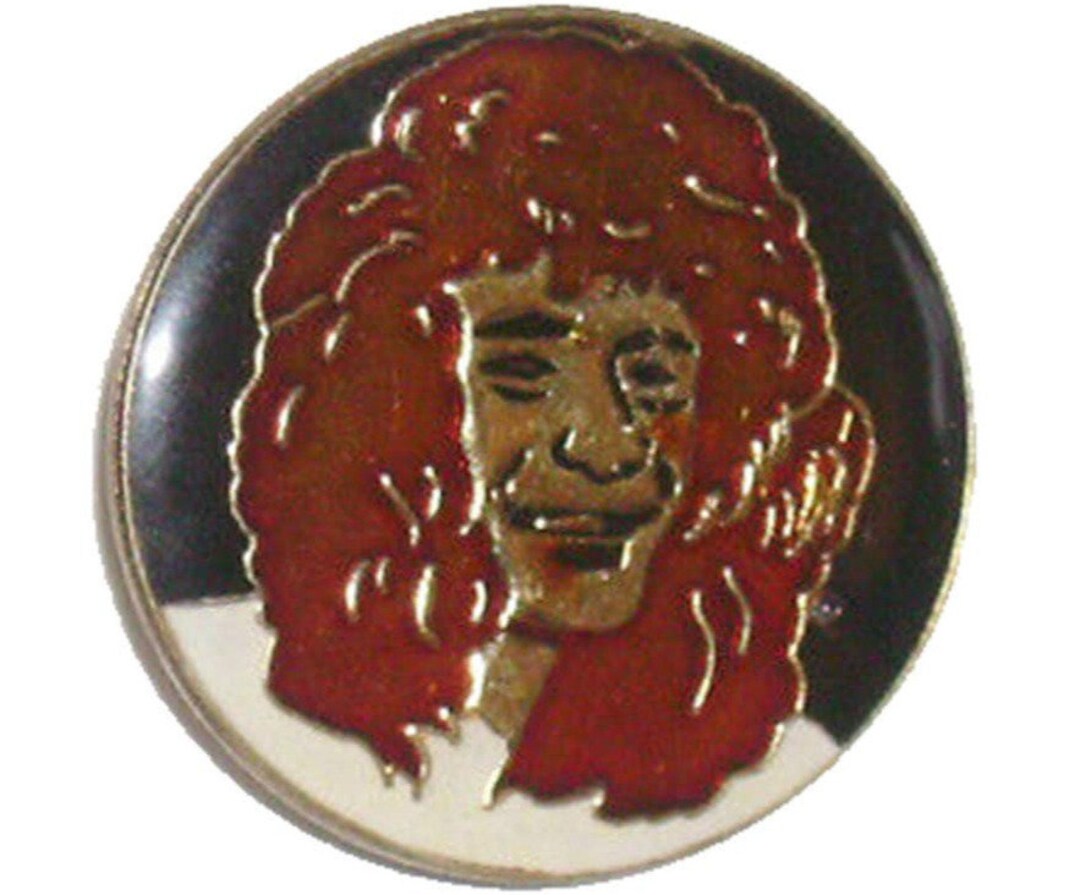 Vintage Van Halen Enamel Pin: David Lee Roth 1984 - Etsy