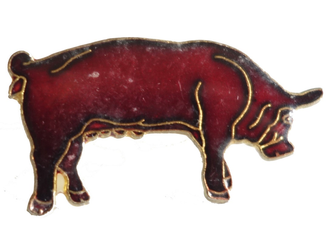PIG Vintage Enamel Pin Lapel Pinback - Etsy