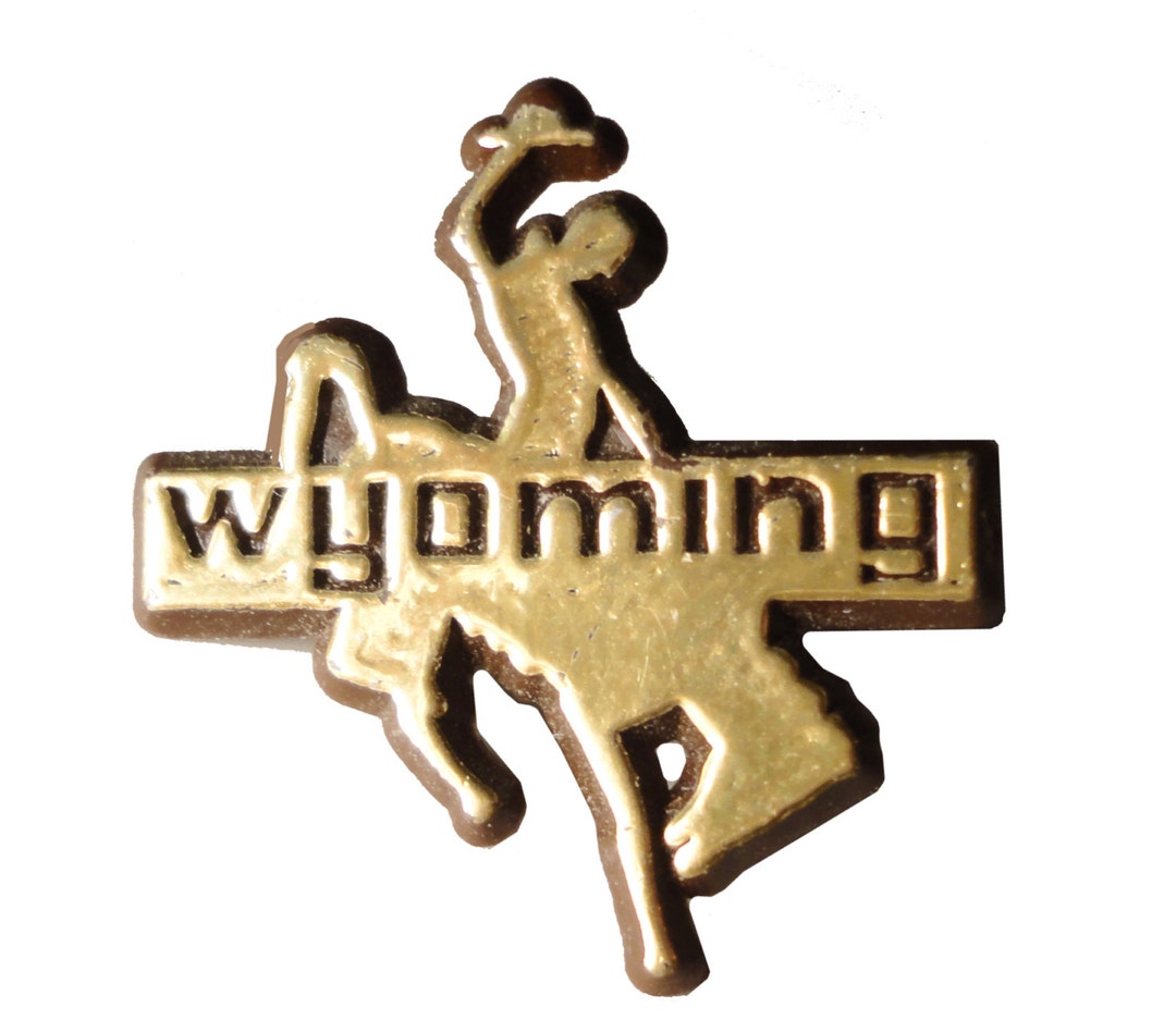 WYOMING STATE Plastic Vintage Enamel Pin Lapel Badge Brooch Gift Cowboy ...