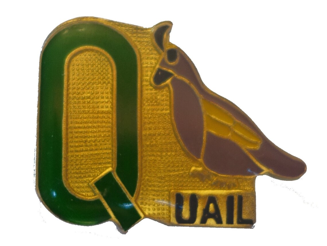 Q is for QUAIL Vintage Enamel Pin Lapel Badge Gift Alphabet - Etsy