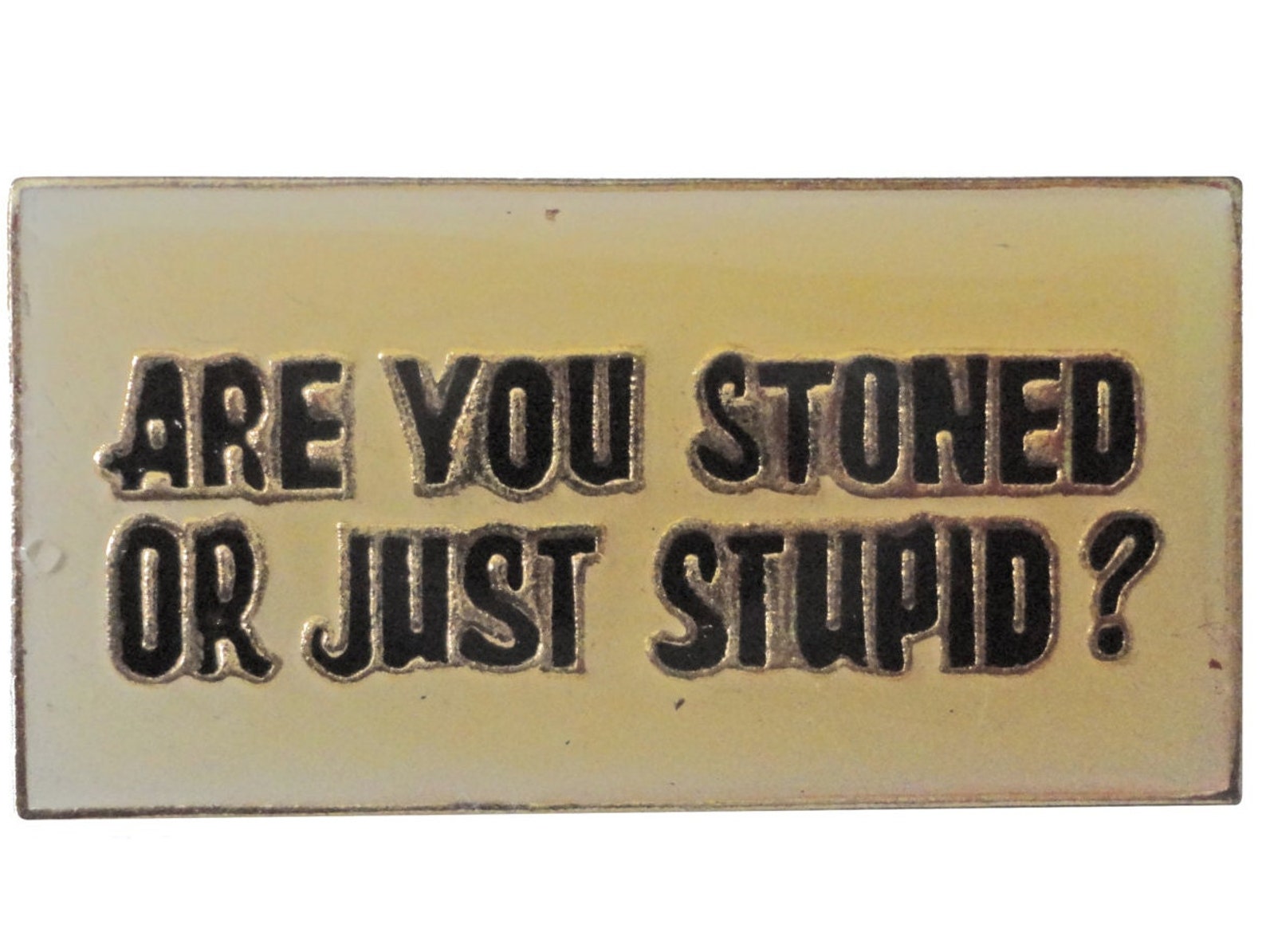 ARE You STONED or Just STUPID Vintage Enamel Pin Lapel Badge - Etsy