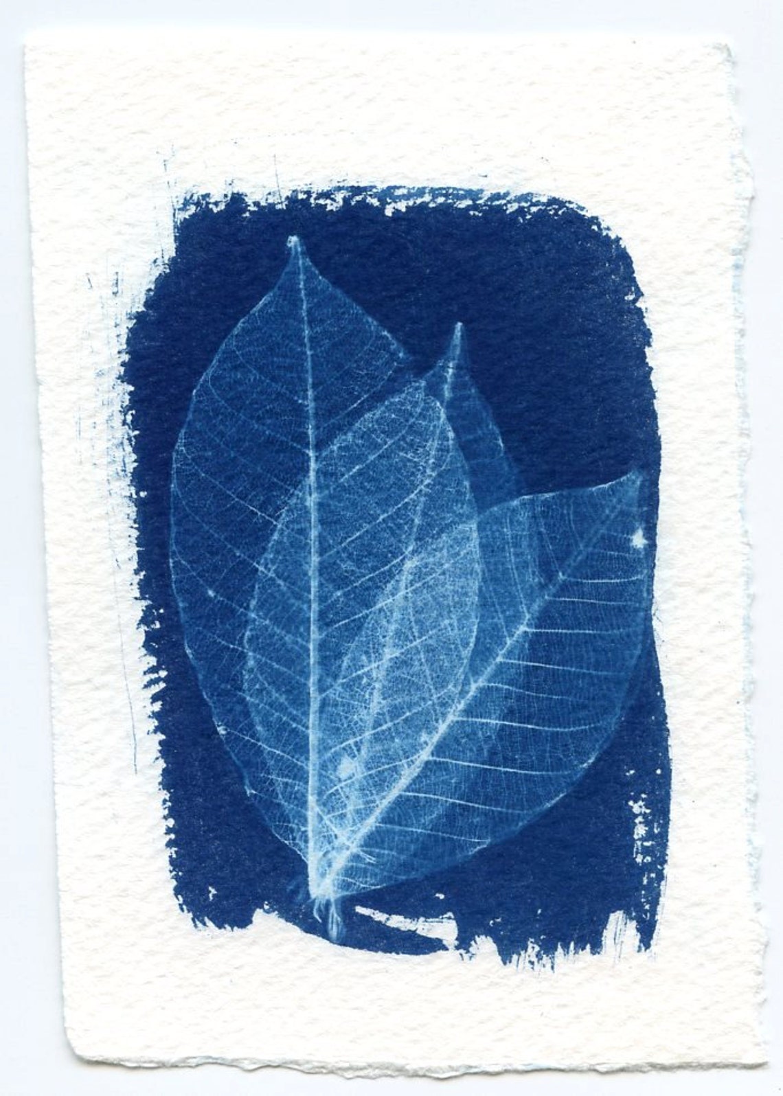 Original Cyanotype Leaf, Cyanotypes, Sun Print, Blue Leaf, Blue Home ...