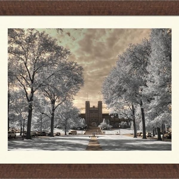 Infrared Photo - Etsy