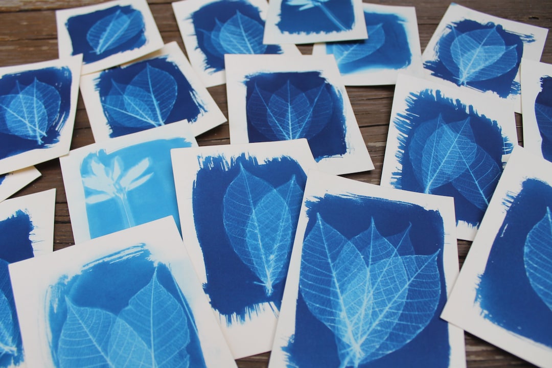 Original Cyanotype Leaf, Cyanotypes, Sun Print, Blue Leaf, Blue Home ...
