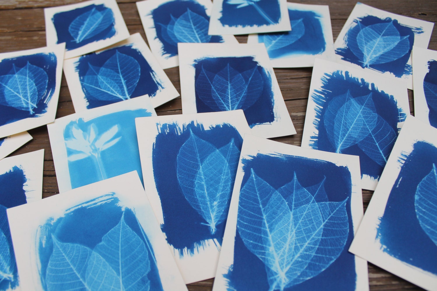 Original Cyanotype Leaf, Cyanotypes, Sun Print, Blue Leaf, Blue Home ...