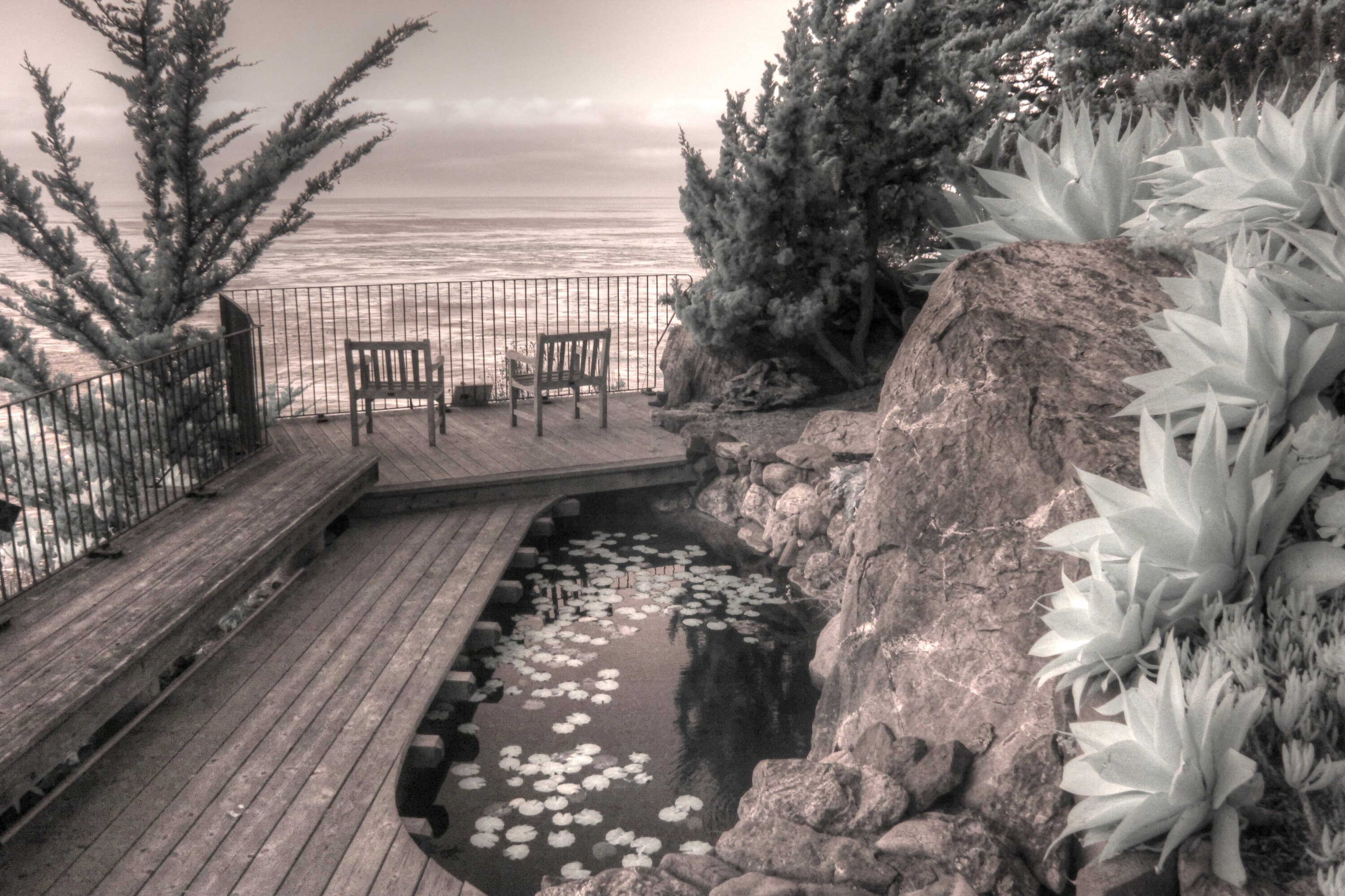 Esalen Big Sur California Coast Infrared Meditation - Etsy