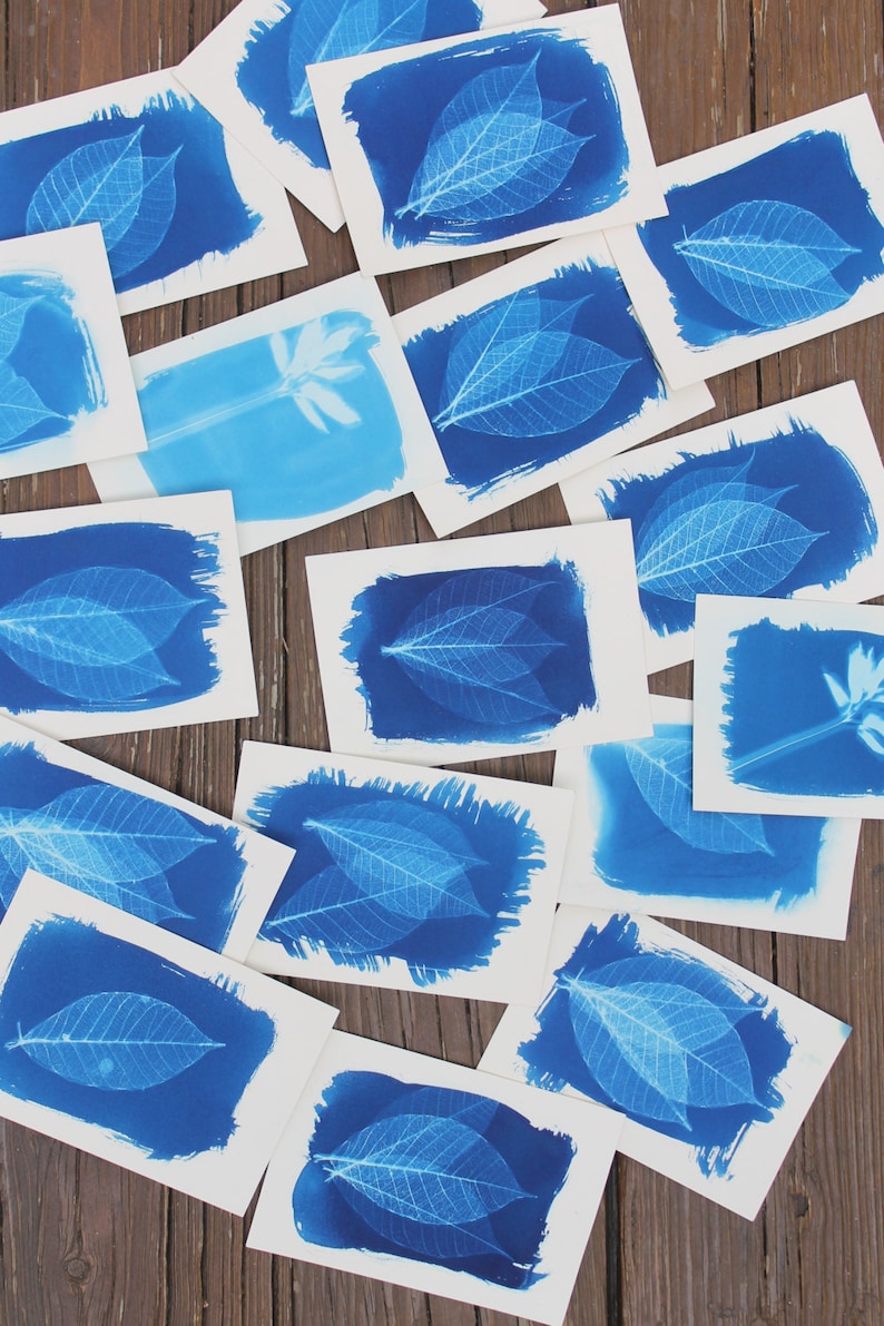 Original Cyanotype Leaf, Cyanotypes, Sun Print, Blue Leaf, Blue Home ...